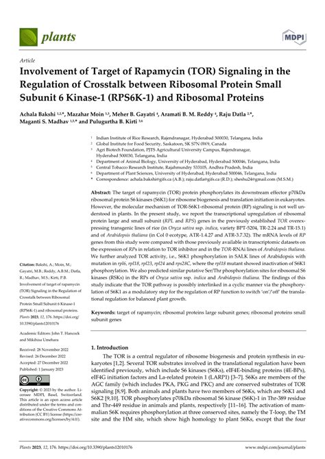 Pdf Involvement Of Target Of Rapamycin Tor Signaling In The Regulation Of Crosstalk Between