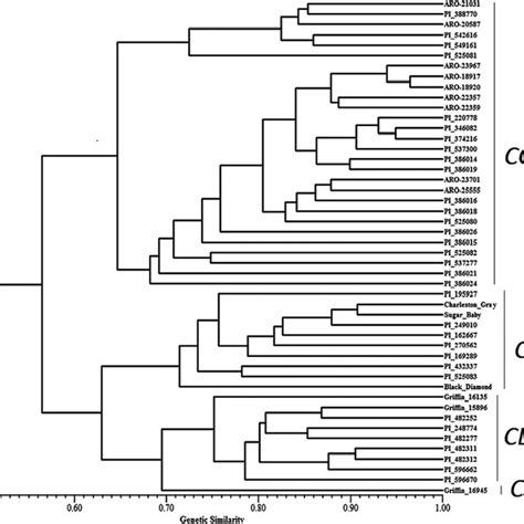 An Unweighted Pair Group Method With Arithmetic Mean Dendrogram Based