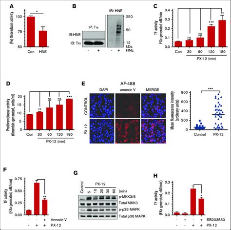 inhibition of trx contributes to p38 mapk activation and ps dependent download scientific
