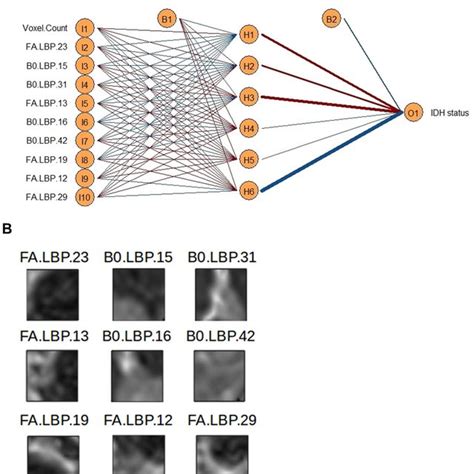 Plot Of The Final Neural Network Classifier A Please Note That Due Download Scientific