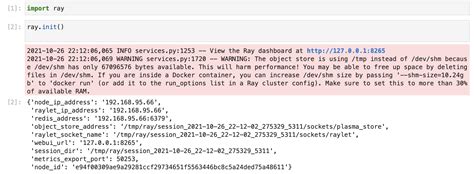 Evaluate Ability To Optimize User Environment For Use With Ray · Issue
