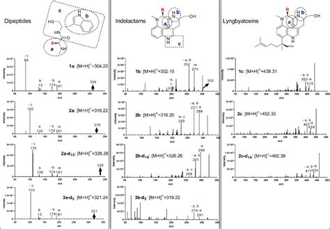 Hplc Esi Hrmsms Of Dipeptide Indolactam And Lyngbyatoxin Analogues