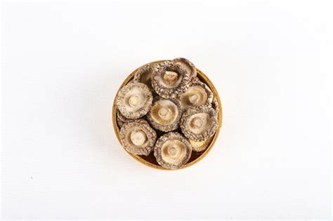 静物摄影图片素材 静物摄影设计素材 静物摄影摄影作品 静物摄影源文件下载 静物摄影图片素材下载 静物摄影背景素材 静物摄影模板下载 搜索中心
