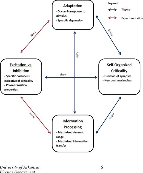 Figure 1 From Adaptation Maintains Cortical Visual Processing At Criticality Semantic Scholar
