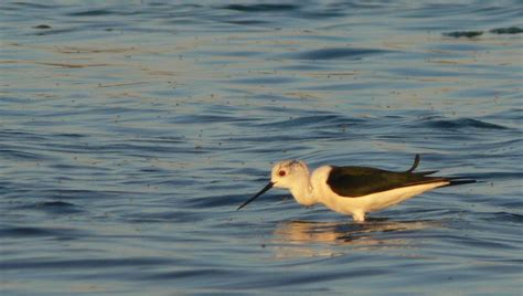 My R Lecture Notes Mis Apuntes De R Updated 23 07 28 Tutoriales Y