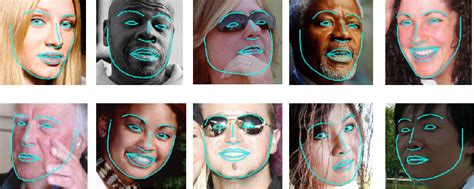 Figure 1 From Fast And Exact Newton And Bidirectional Fitting Of Active Appearance Models