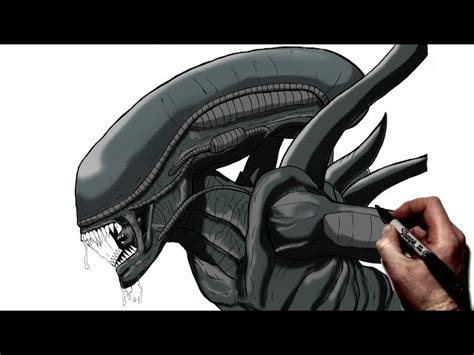 How To Draw A Realistic Xenomorph