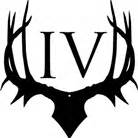 Tree Of Life Digital Version On Behance