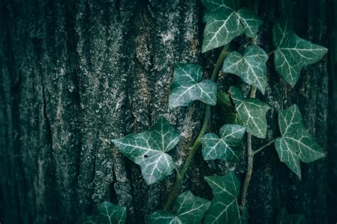 Static Wallpaper Photos Download The Best Free Static Wallpaper Stock