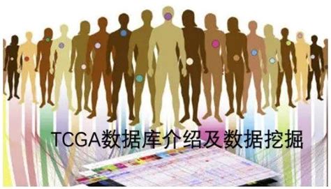合并tcga表达谱数据，生存状态和生存时间 知乎