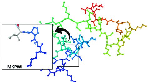Regions In The Structure Of Bioactive Peptides Cheese A The Arrows Download Scientific