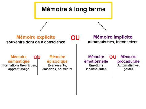 Les clefs pour comprendre les différents types de mémoire Autonome à