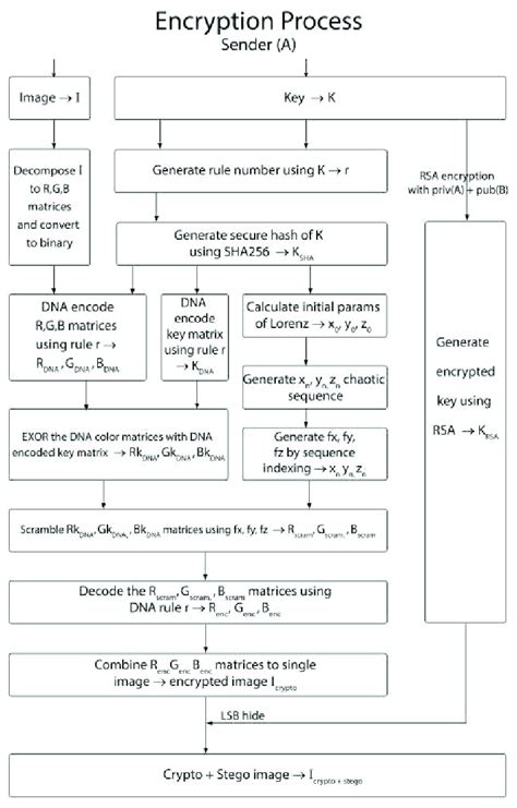 Flow Diagram Of The Encryption Process Download Scientific Diagram