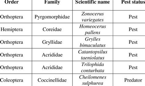 Insect Classification And Their Potential Pest Status Collected On