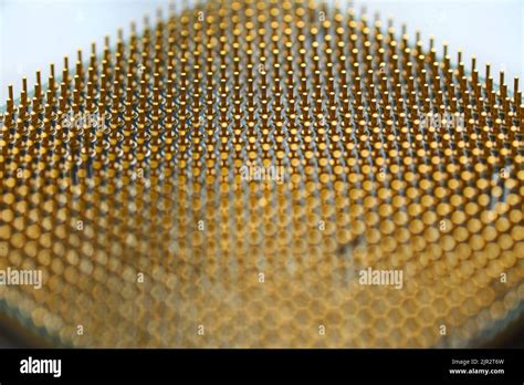 microprocessor on white background golden pins facing up the concept
