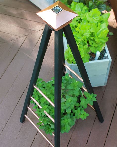 15 Best Trellis Ideas For A Climbing Garden