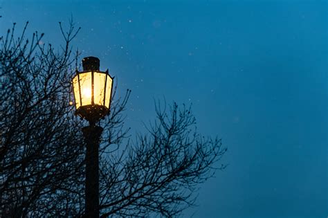 거리 조명 빈티지 고딕 스타일 복사 공간 요정 노란 빛 조명 아름 다운 거리 장식 맑은 밤 하늘입니다 0명에 대한 스톡 사진 및 기타 이미지 Istock