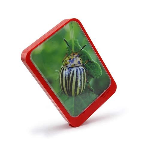 Купить Рамка для фото музыкальная цена 186 грн — Prom Ua Id 508784295