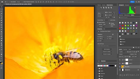 دانلود نرم افزار Adobe Photoshop 2023 24 1 1 238 ام جی ادیتور