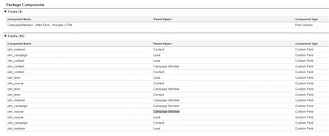 Salesforce Package Stamp Utm Parameters On Campaign Members