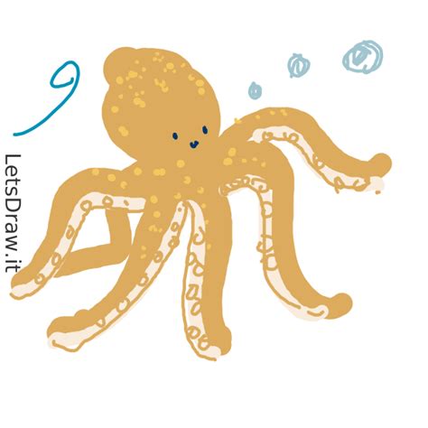 How To Draw Squid 3koaq9ymk Png LetsDrawIt