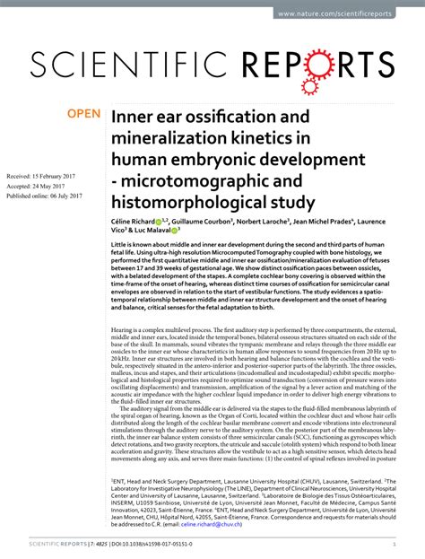 Pdf Inner Ear Ossification And Mineralization Kinetics In Human