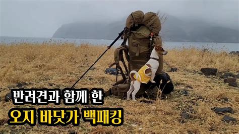 오지 바닷가에서 반려견과 보낸 3박4일 백패킹 2부 힐링 이면에 버려진 쓰레기 주워오기쌩뚱맞은 굴 줍기 백패킹 여자백패커
