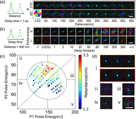 structuring regimes of anisotropic structures a slowaxis orientation