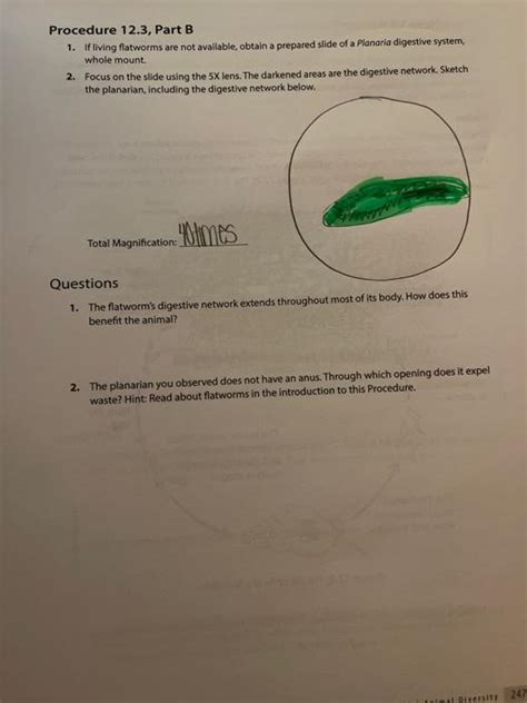 Solved Procedure 12 3 Part B 1 If Living Flatworms Are Not