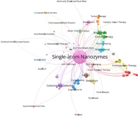 Single Atom Nanozymes From Precisely Engineering To Extensive