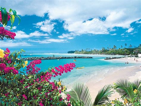 1000 Images About Beautiful Tobago Beaches On Pinterest Trinidad