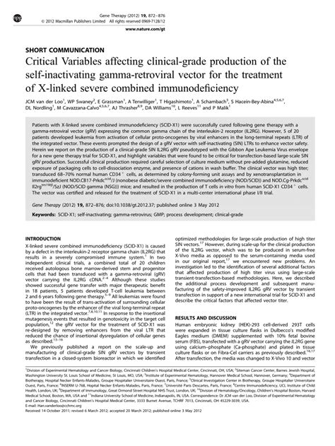 Pdf Critical Variables Affecting Clinical Grade Production Of The Self Inactivating Gamma