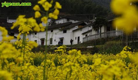 珊瑚村图片 浙江省金华市婺城区塔石乡珊瑚村