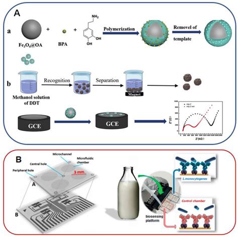 Processes Free Full Text Recent Advances In Nanomaterial Based Sensing For Food Safety Analysis