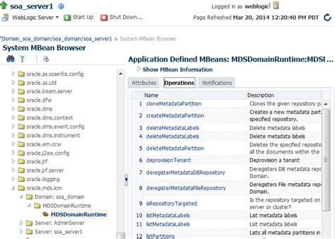Managing The Metadata Repository