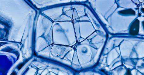 Dxa 22 Series Dissecting The R2 Data Model Part 1 Exlrt