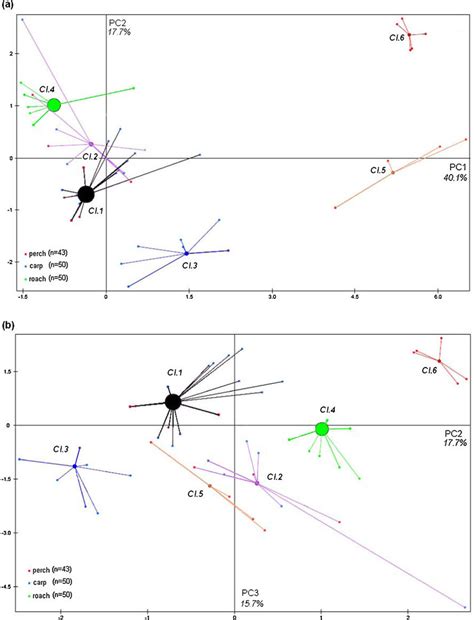 Principal Component Analysis Coupled To Hierarchical Cluster Analysis