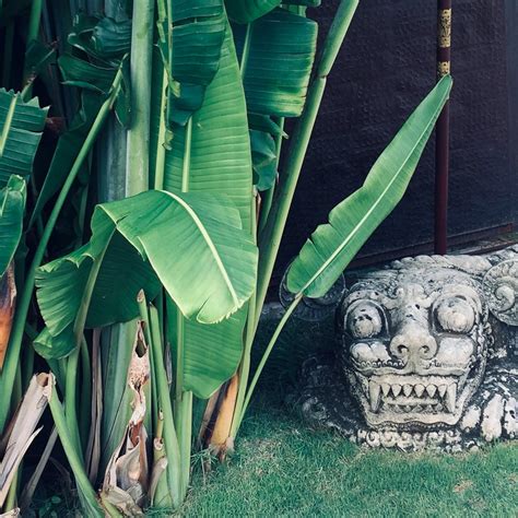 Nuno Alves Nunophotographer • Instagram Photos And Videos