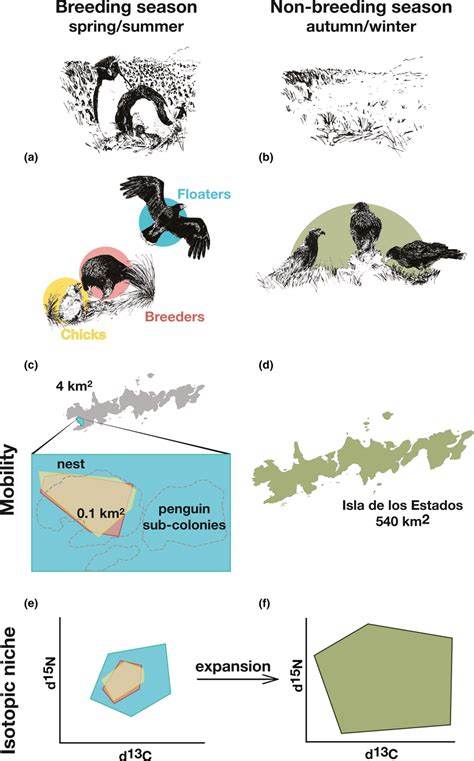Hypothesis Framework For This Study Color‐coded As Follows Floaters