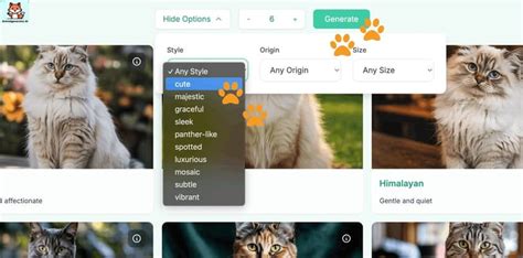 Random Cat Generator With Pictures Explore 200 Cat Breeds