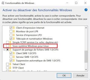 Comment Avoir Le Terminal De Linux Sur Windows Tutoriel