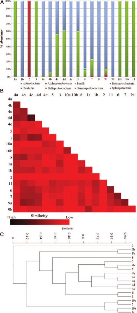 Examples Of Visual Interpretation Of Pyrosequencing Data Derived From Download Scientific