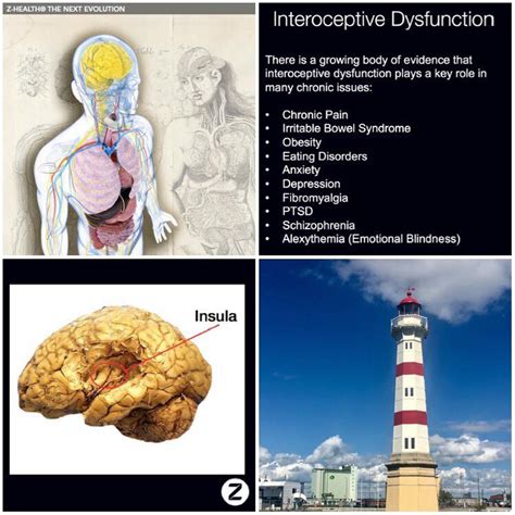 Det Interoceptive System Physical Movement