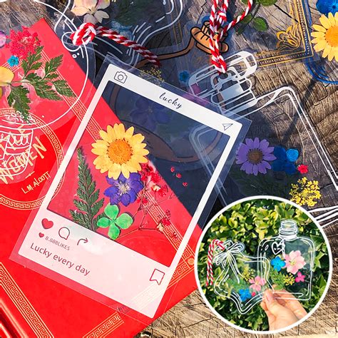 누름꽃 압화 투명 책갈피 만들기 C세트