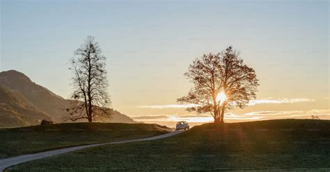 옆에 나무와 풀이 있는 도로를 운전하는 자동차 사진 Unsplash의 길 이미지