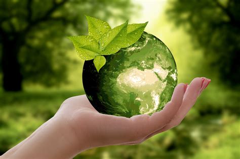 How To Save The Environment Simple Ways To Make An Impact NuEnergy