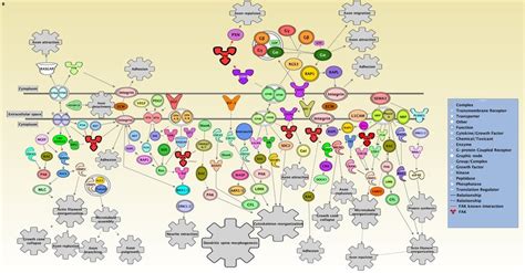 A B Axonal Guidance Signaling Axonal Guidance Also Known As Axon Download Scientific