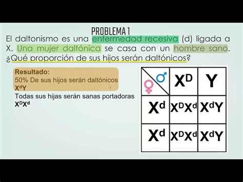 Hoja De Trabajo Sobre Herencia Ligada Al Sexo