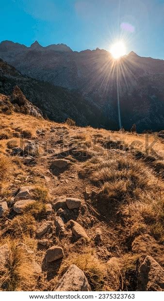 19개의 Revel Pico 이미지 스톡 사진 3d 오브젝트 벡터 Shutterstock