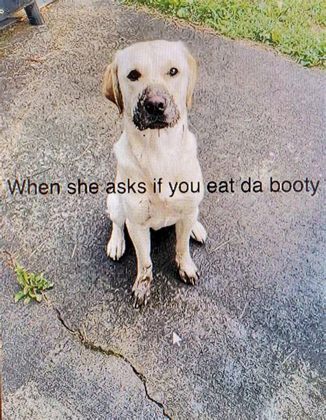 The Best Booty Memes Memedroid The Best Booty Memes Memedroid